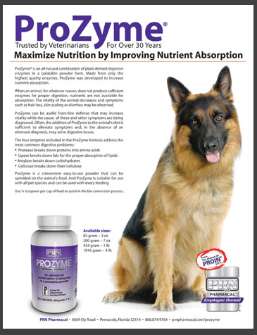 BW Graphics - Flyers